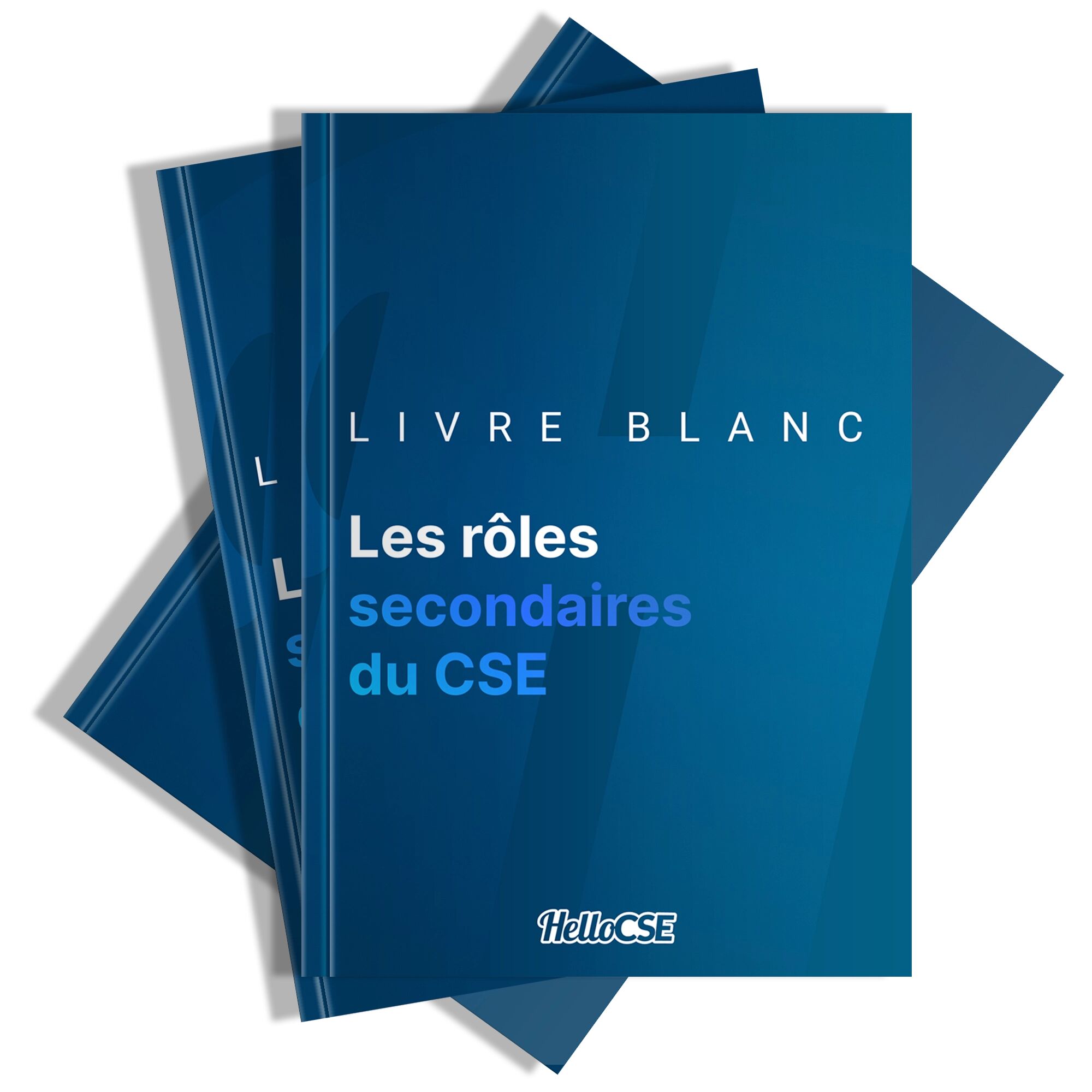Membre CSE : différents rôles, missions et obligations - Bibliothèque ...